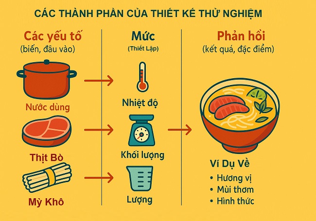 DOE (Design of Experiments) là gì? Các bước tiến hành Thiết Kế Thử ...